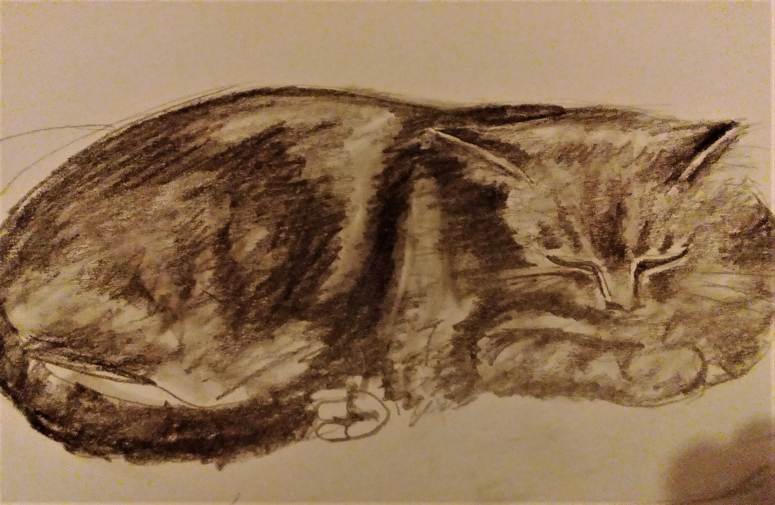 Introduction to Drawing with Sheila Moylan - OPEN EALING